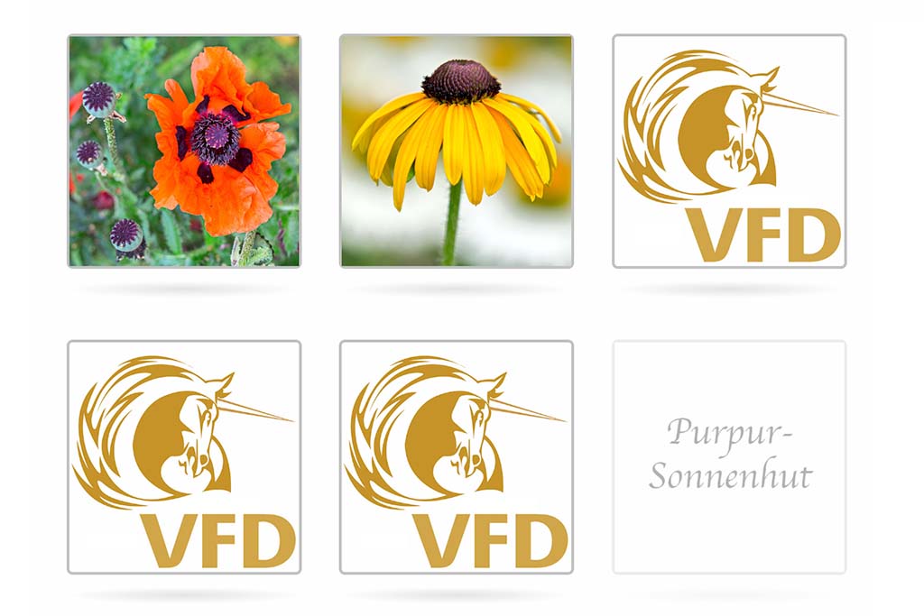 Blumen-Memory - Verein für Familiengärten Dübendorf