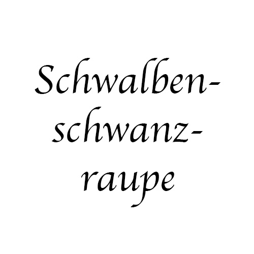 Blumen-Memory - Verein für Familiengärten Dübendorf